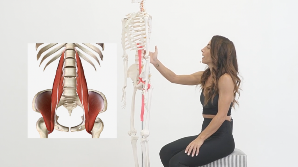 योग एनाटोमी ( Yoga ANATOMY) क्या है? योग एनाटोमी के बारे में